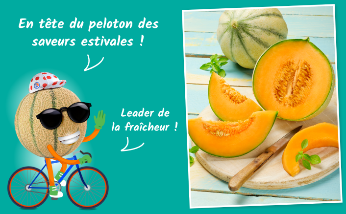 Léon le melon, légume de Famille Été E.Leclerc Occitanie
